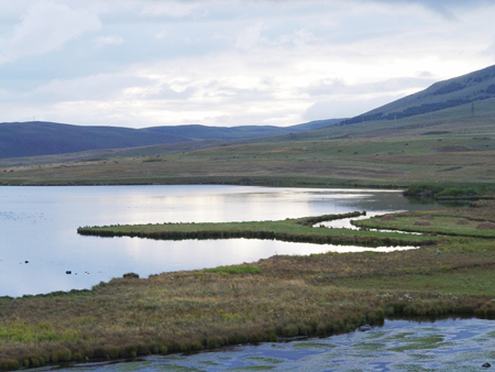 Establishment of the Javakheti Protected Areas | WWF