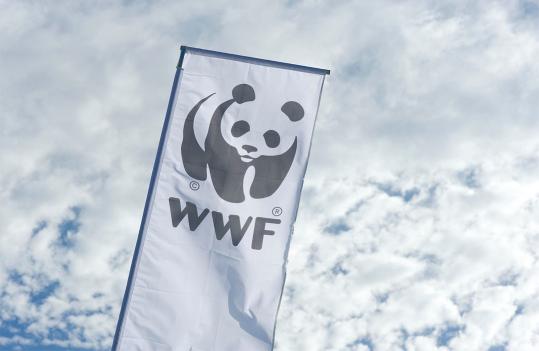 WWF Україна шукає менеджера на проект із збереження осетрових Дунаю | WWF