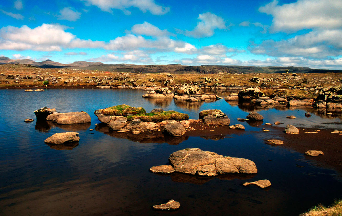 Water stewardship enters new phase | WWF