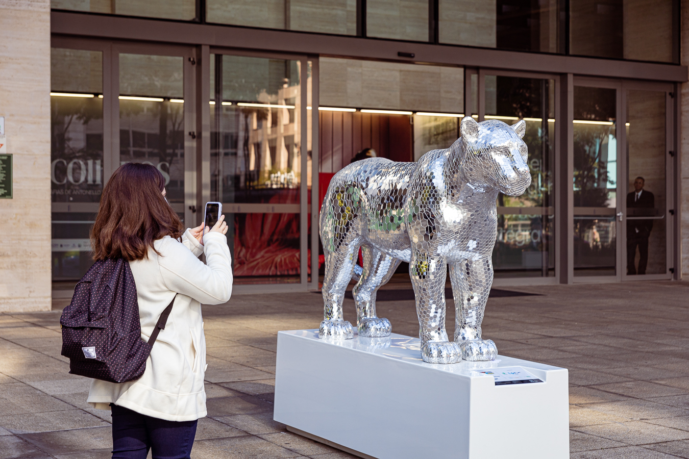 Organizaciones mundiales de conservación se unen para salvar al felino ...