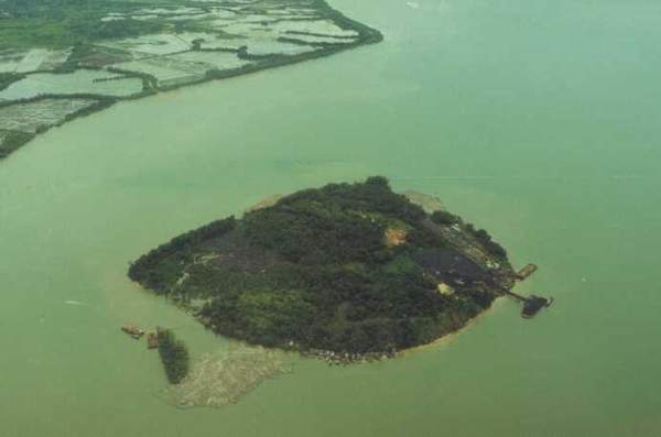 WWF presses govt to prevent potential oil spill off N. Kalimantan | WWF