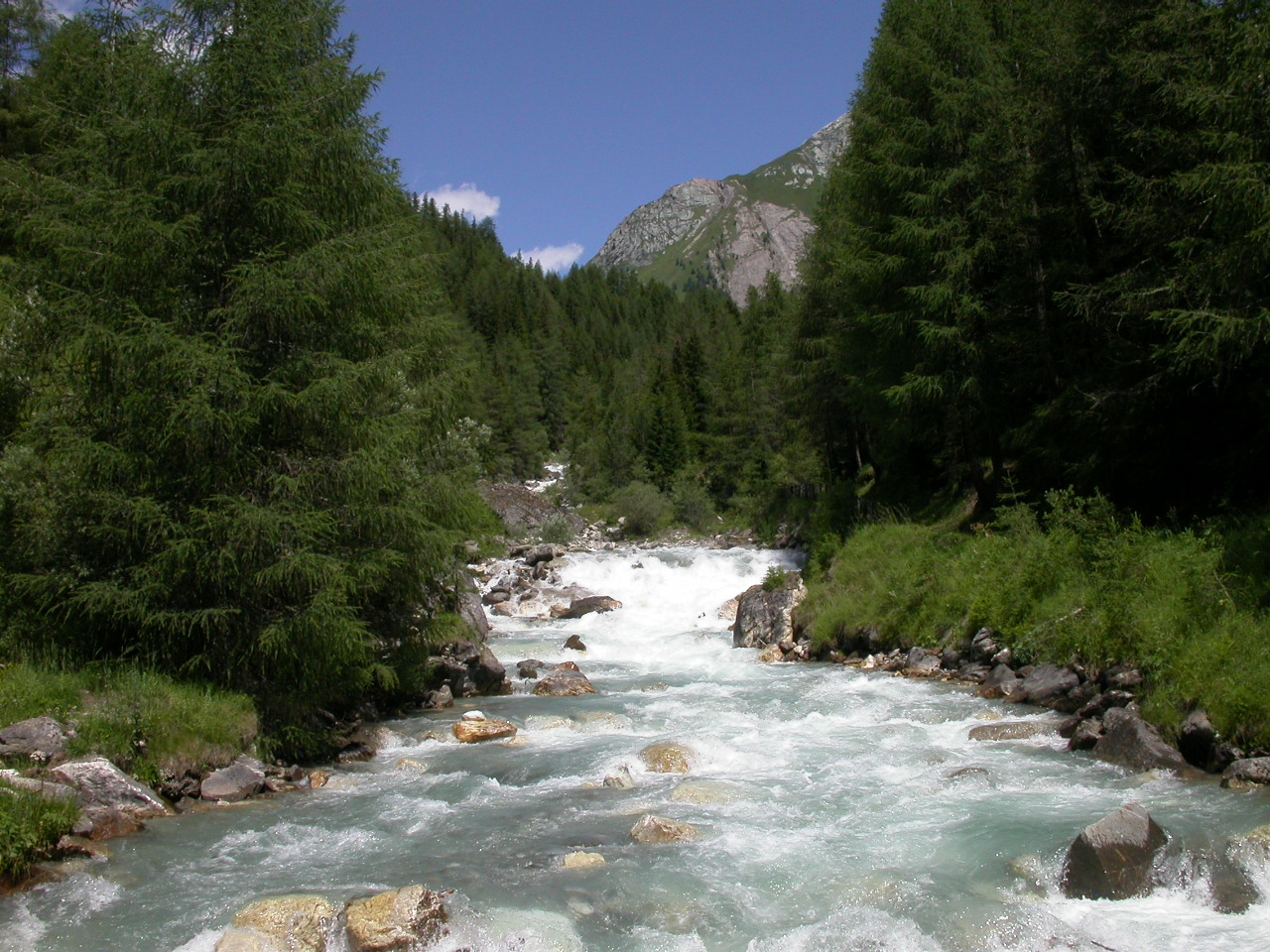 Natura 2000 site management - conference in Austria | WWF