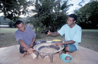 Community forestry on Fiji saves native tree species | WWF