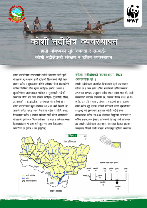 Koshi Flyer | WWF