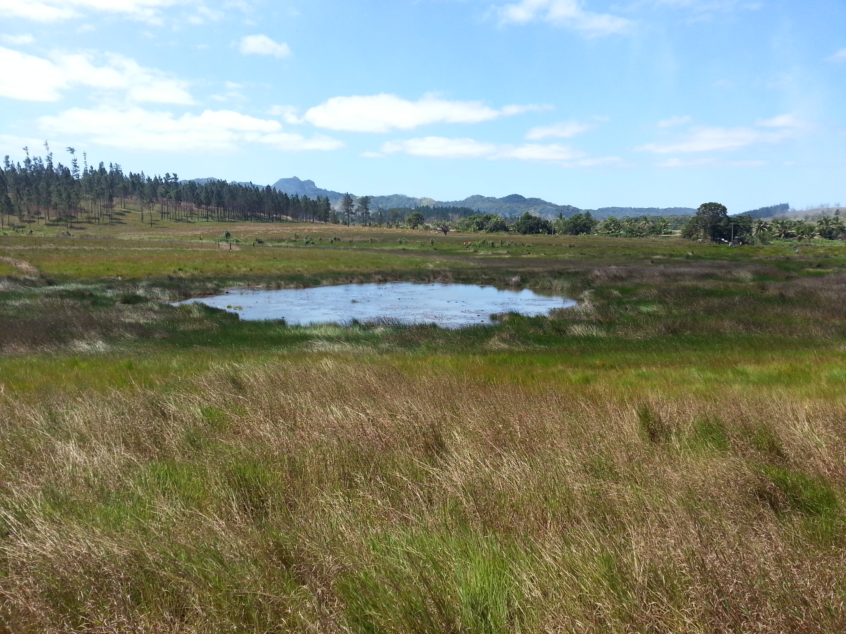 Words to Live by | WWF