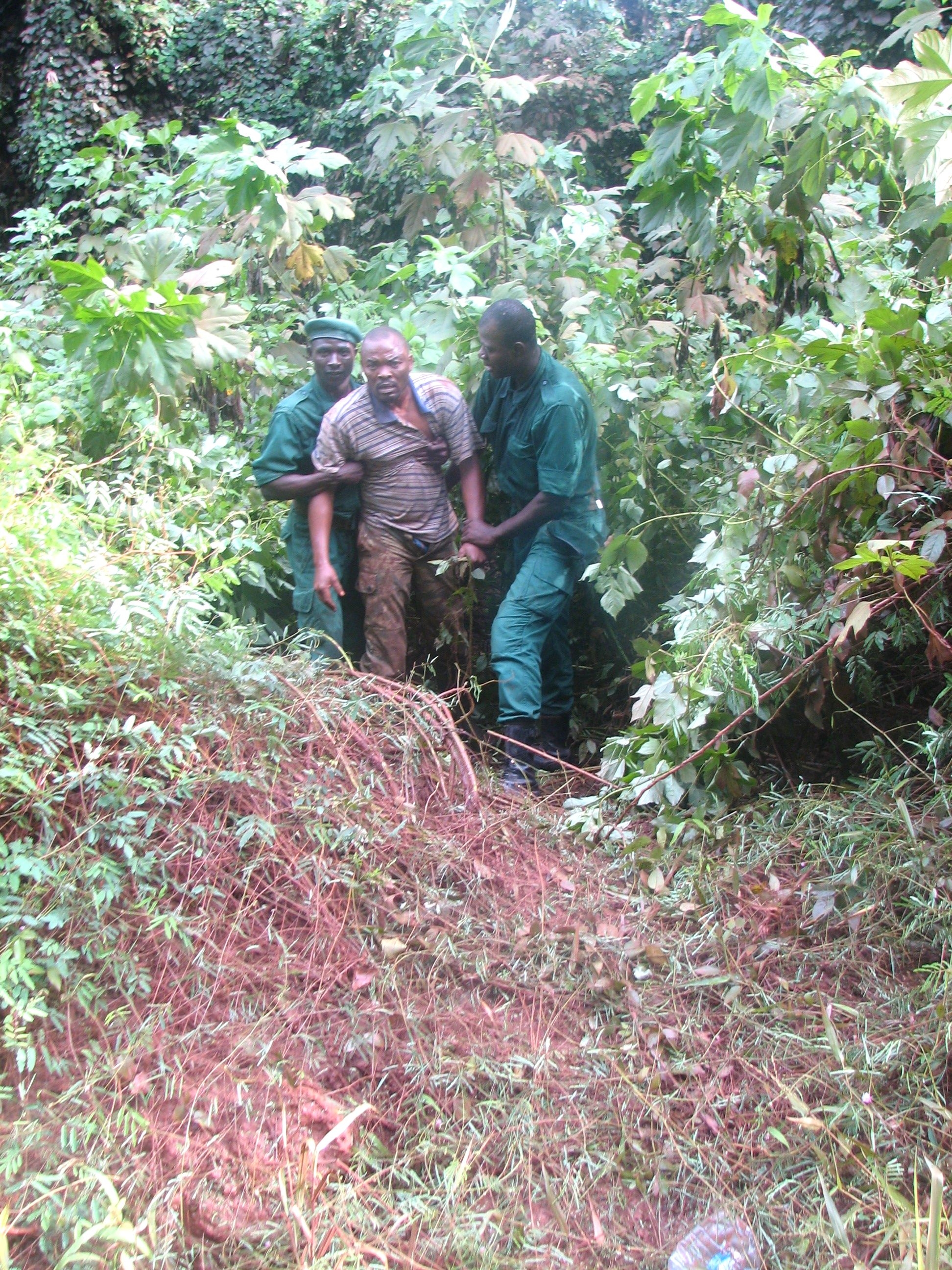 Cameroon: The Battle for Parrot Souls in Southeast | WWF