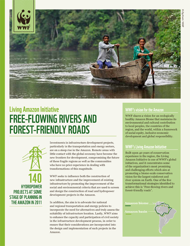Living Amazon Initiative: Free flowing rivers and forest friendly roads ...