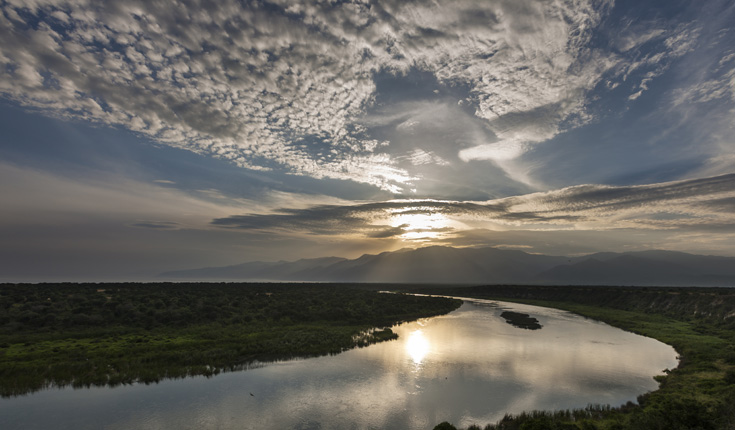 Virunga documentary receives Oscar nomination | WWF