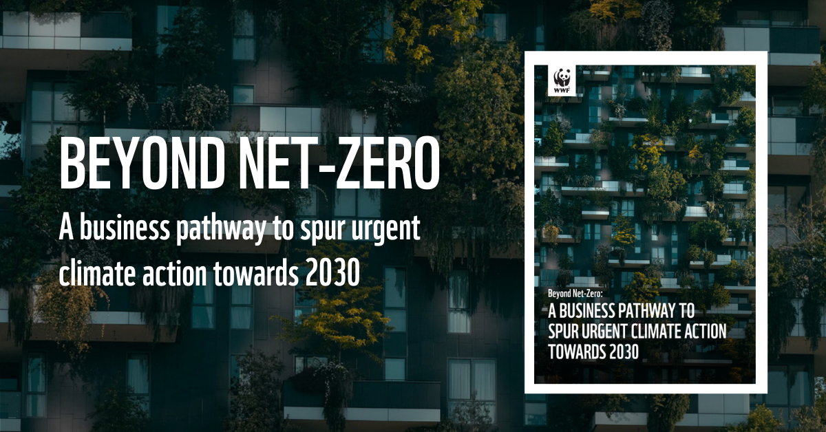 Beyond Net-Zero: A business pathway to spur urgent climate action ...