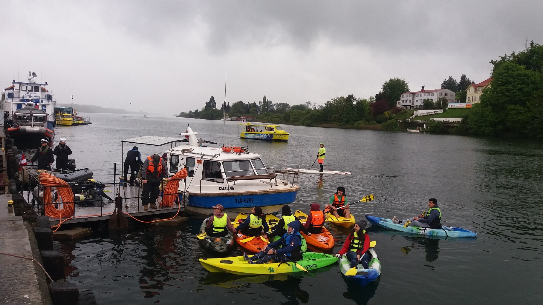 Organizaciones se unen para descontaminar el río Valdivia | WWF