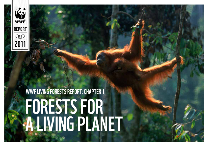 Governments and business must unite in joint action to stop forest loss | WWF