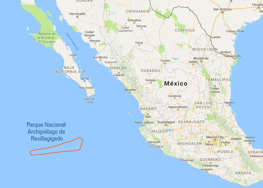 WWF celebra la decisión del Gobierno de México de declarar el ...