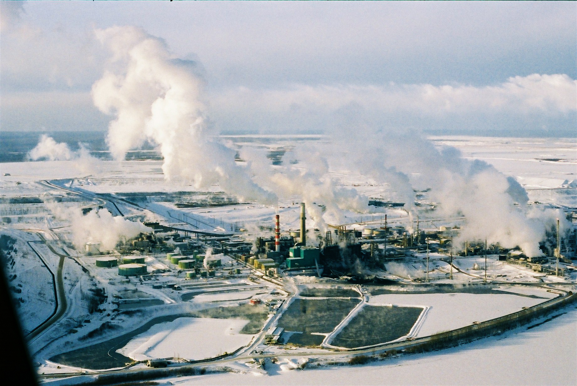 What in tar nation? | WWF