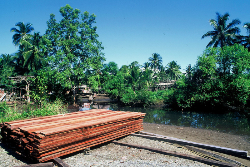 Report shows EU imports more goods linked to deforestation than any ...