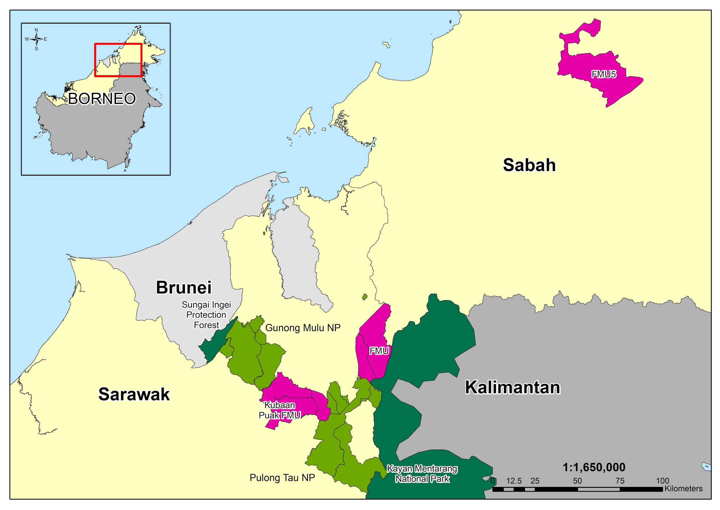Implementing sustainable forest management in Sarawak and Sabah | WWF