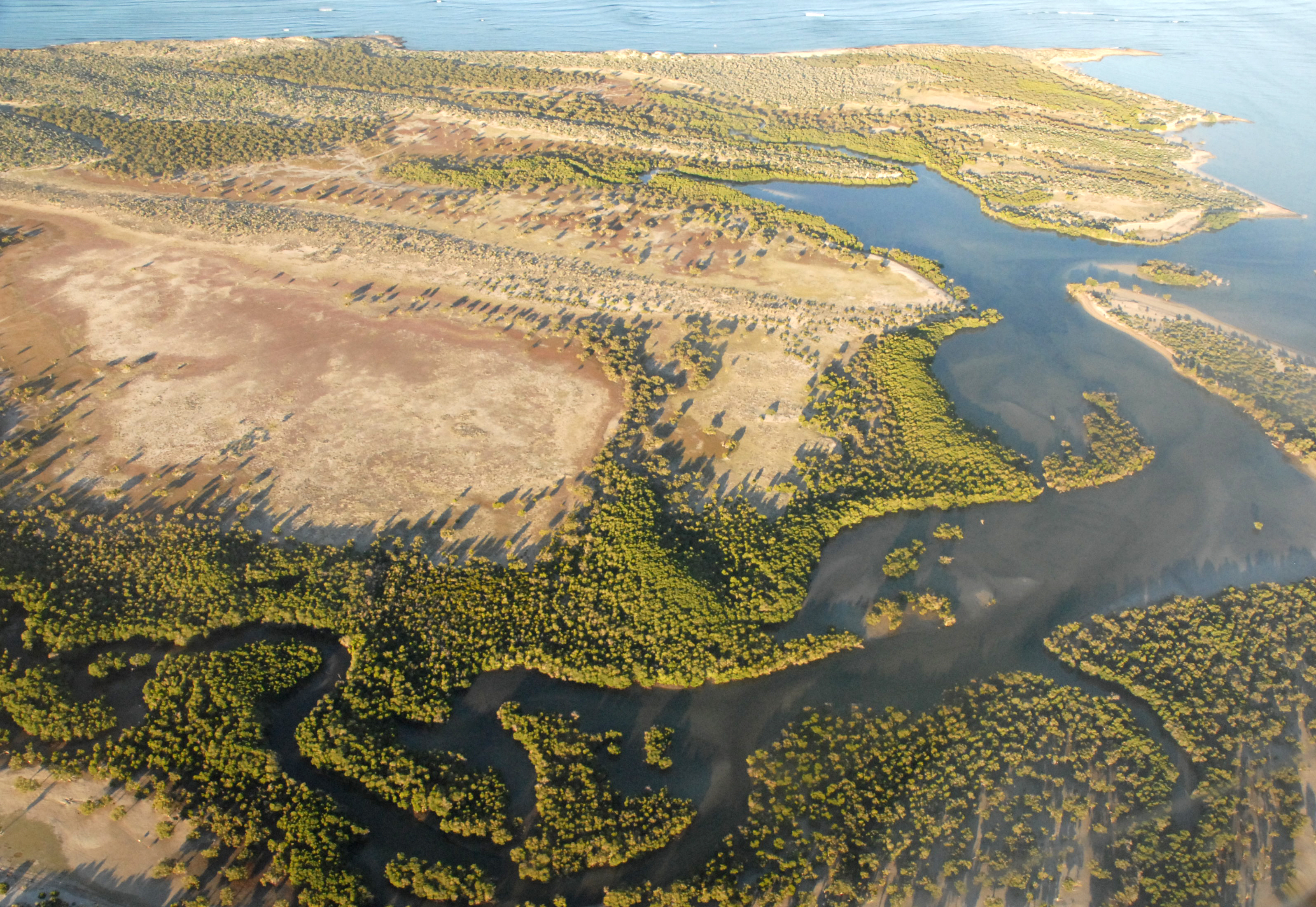 Environmental Partnership in Madagascar | WWF