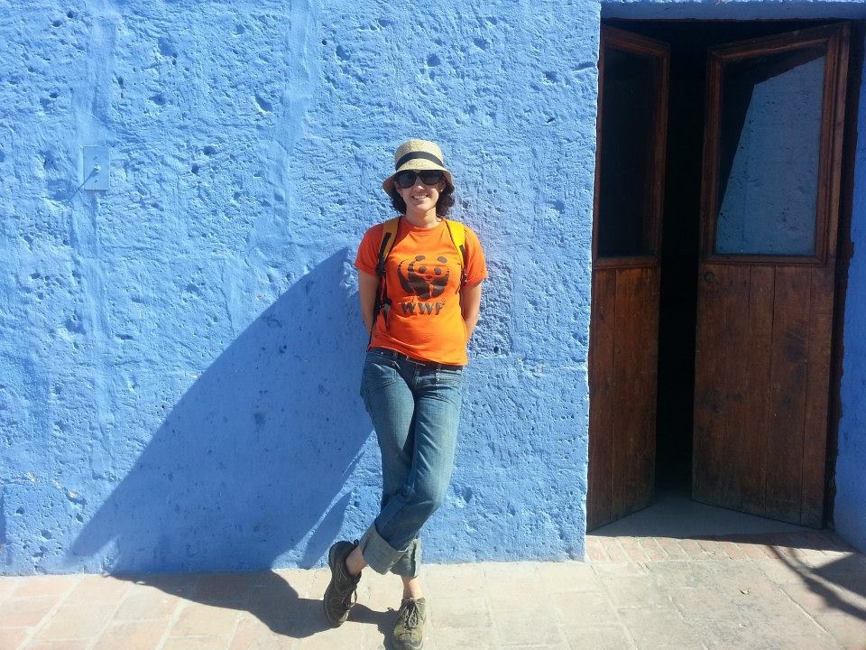 Interview with Maria Eugenia Arroyo, Forest and Climate Coordinator for ...