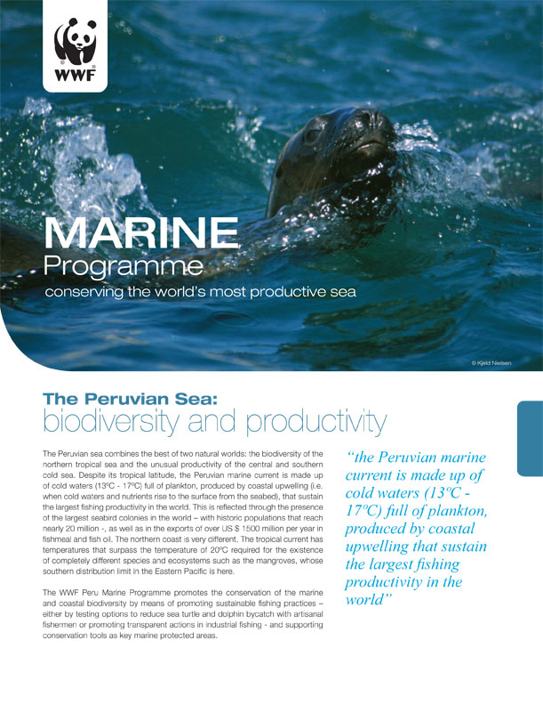 Marine Programme: conserving the world's most productive sea | WWF