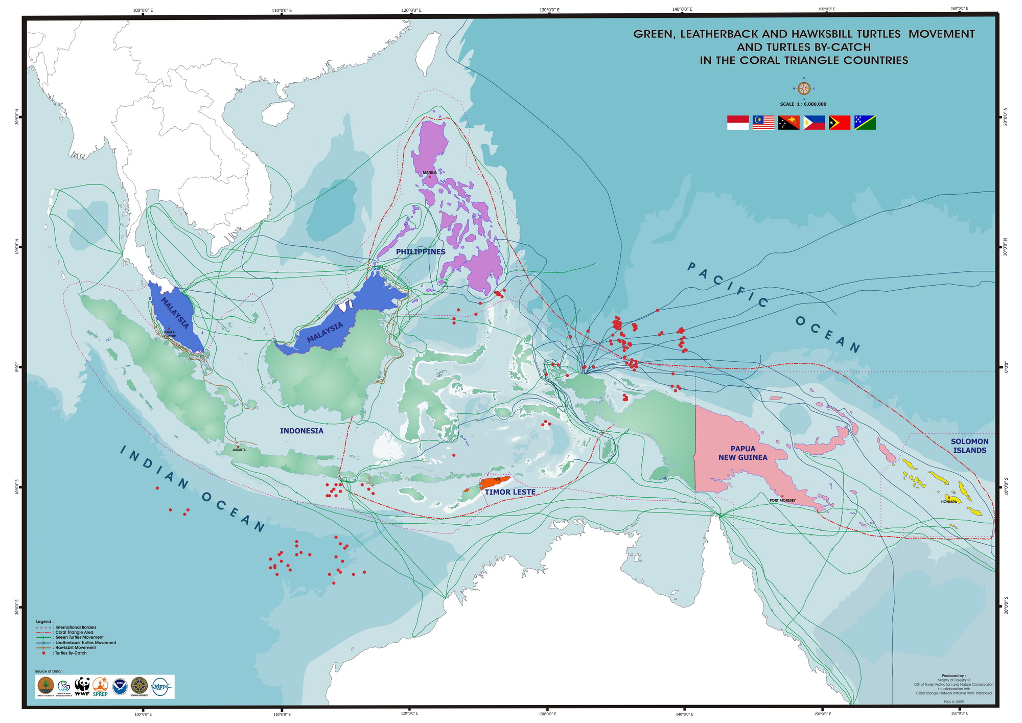 Green, leatherback and hawksbill turtles movement and turtles bycatch ...