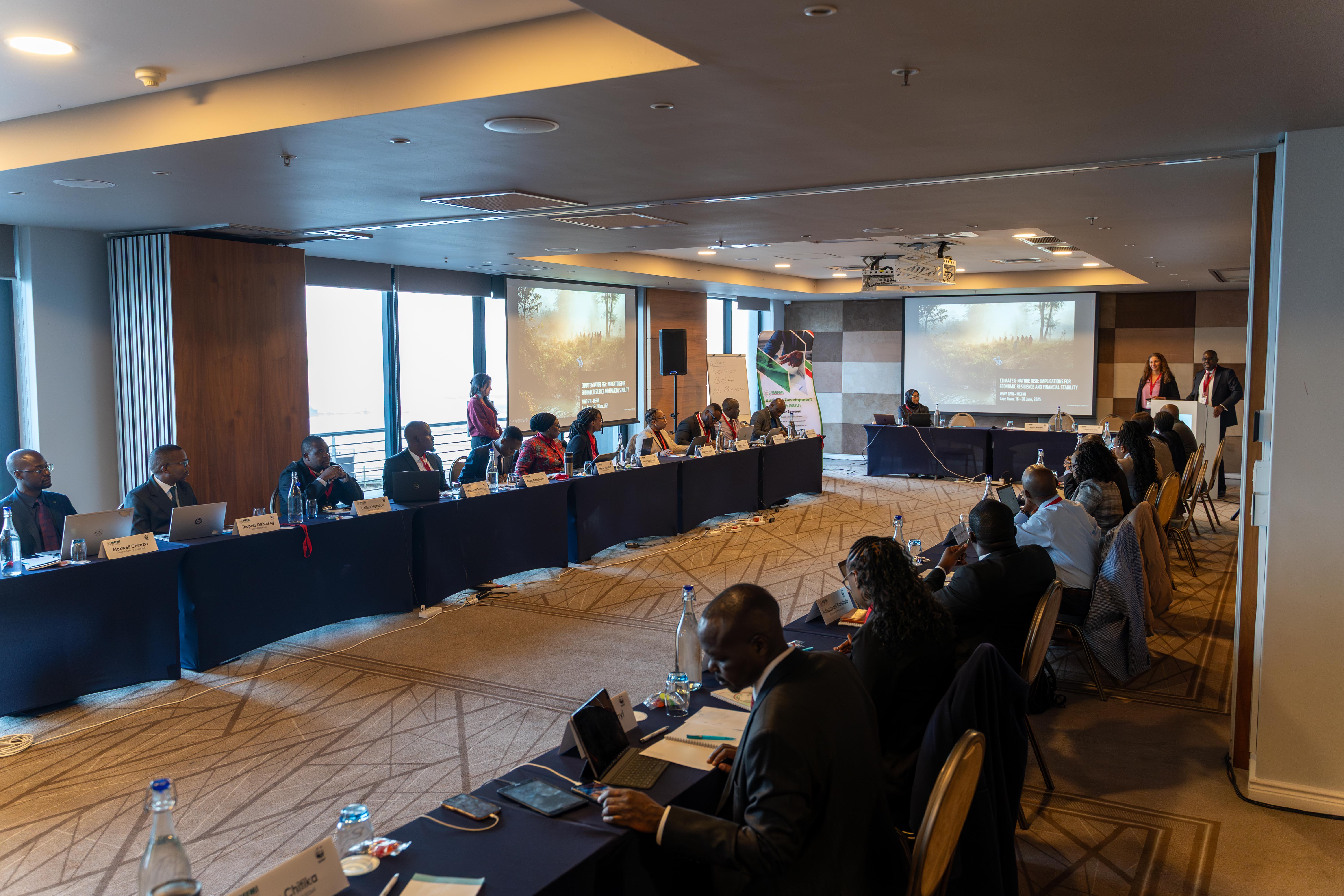 Capacity Building for Financial Resilience in Southern and Eastern ...