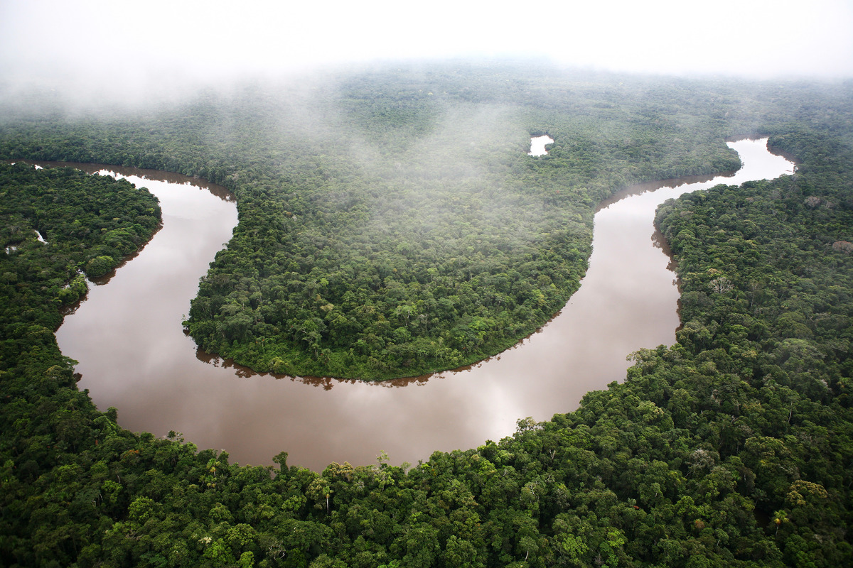 From Forest Pledges to Paris Delivery: Are Amazonian NDCs up to the ...