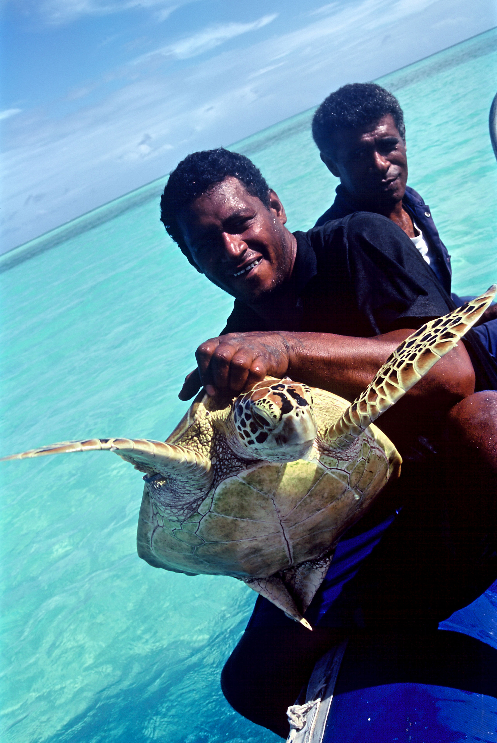 Protecting Turtles in the Pacific (Part 2) | WWF