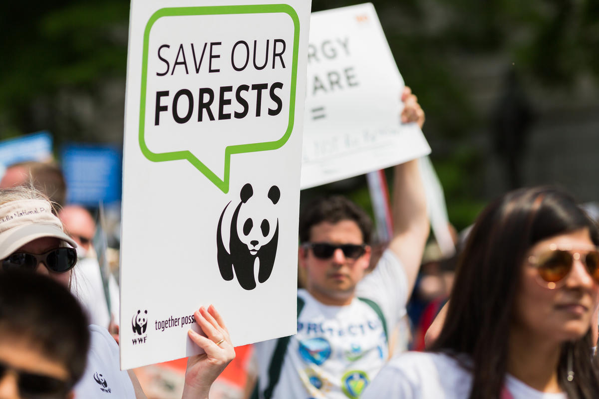 Forests Practice Team | WWF