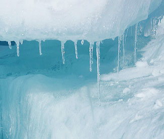 Arctic a hot topic at global climate talks | WWF