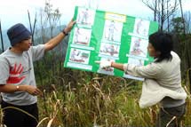 Planting Trees to Have a Forest | WWF