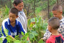 Planting Trees to Have a Forest | WWF