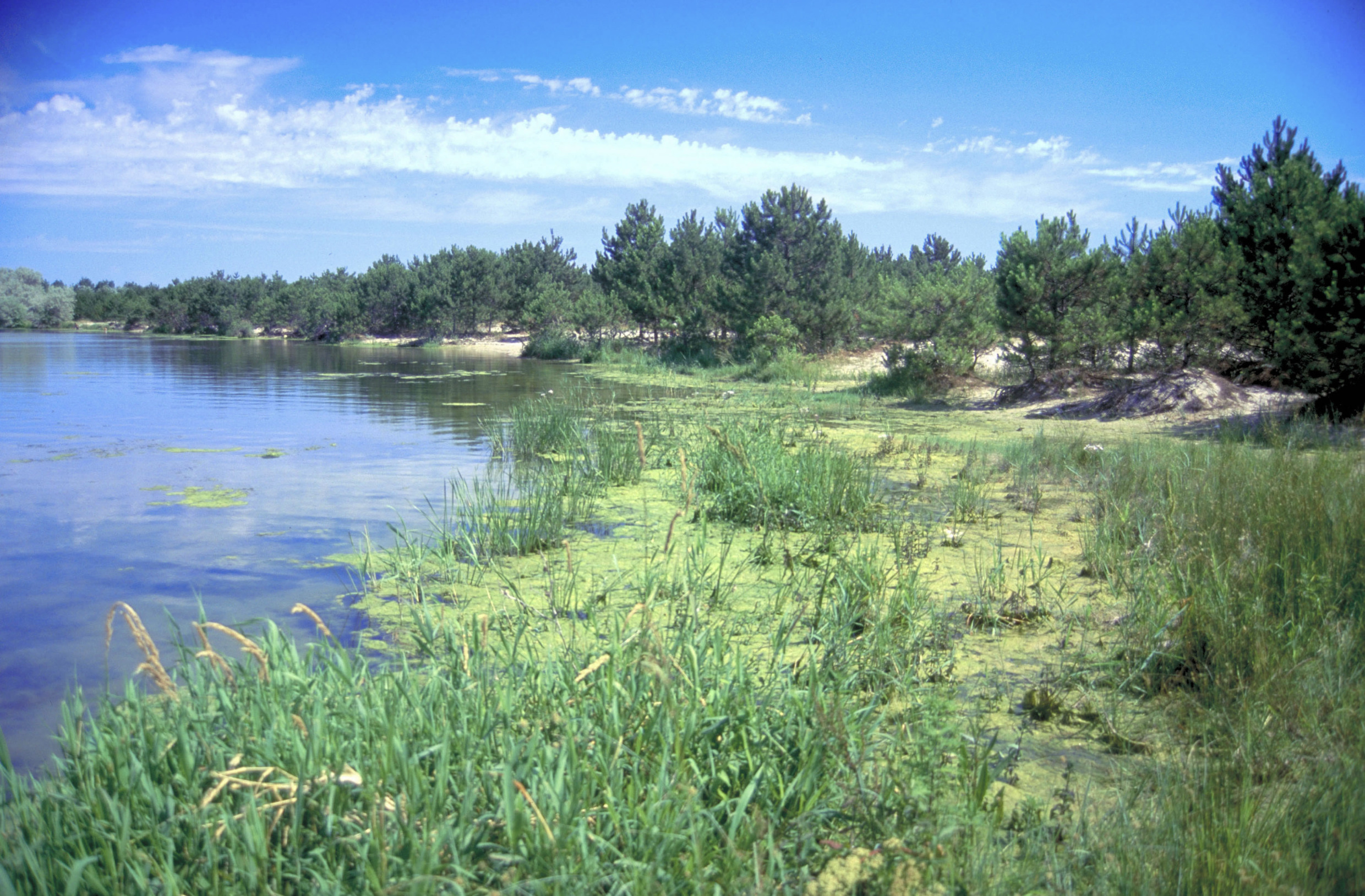 29 New Protected Areas in Ukraine | WWF