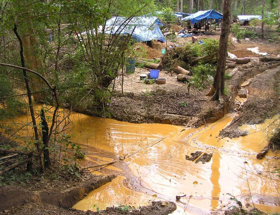 A shock to the ecosystem as gold mining explodes across Cambodia | WWF