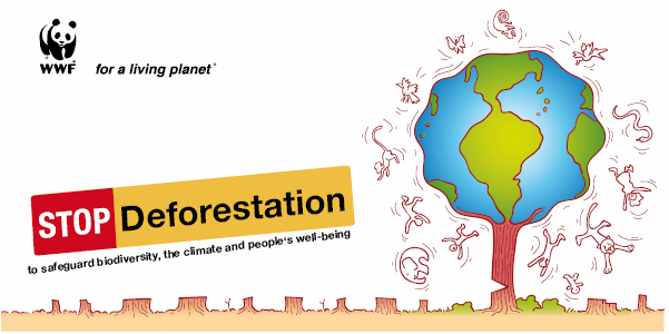 Ministers commit to zero net deforestation by 2020 | WWF