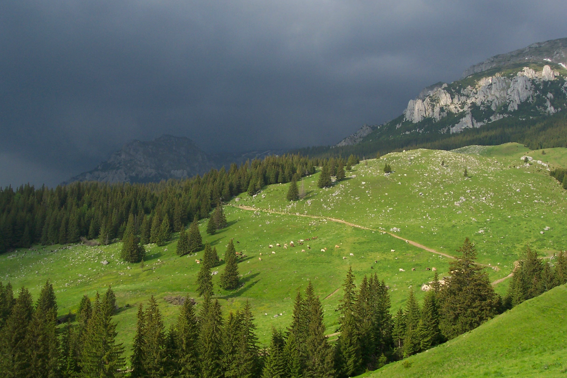 WWF attracts British tourists to Maramures in the Romanian Carpathians ...