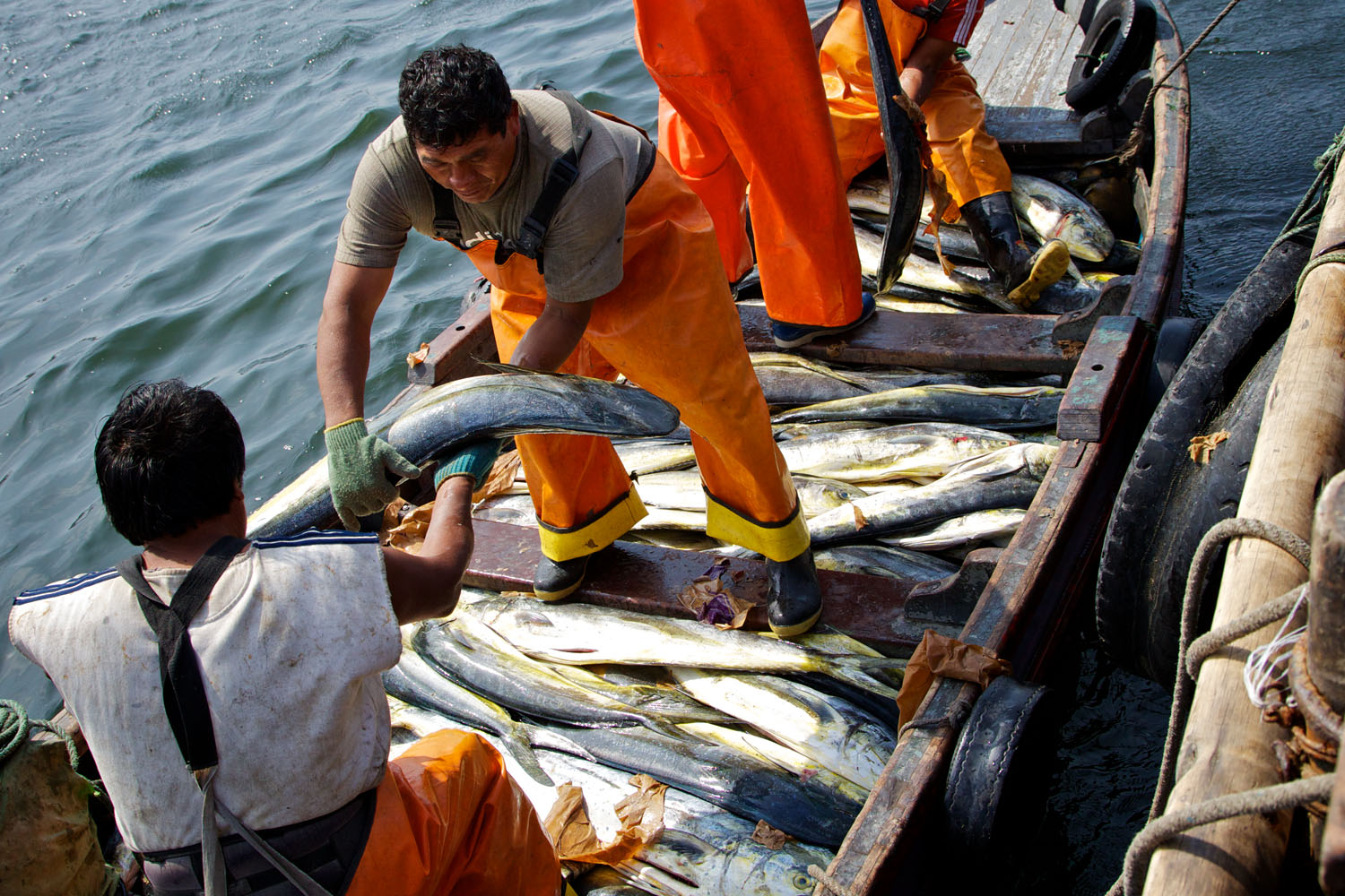 Fishermen, entrepreneurs and authorities embrace initiatives towards ...