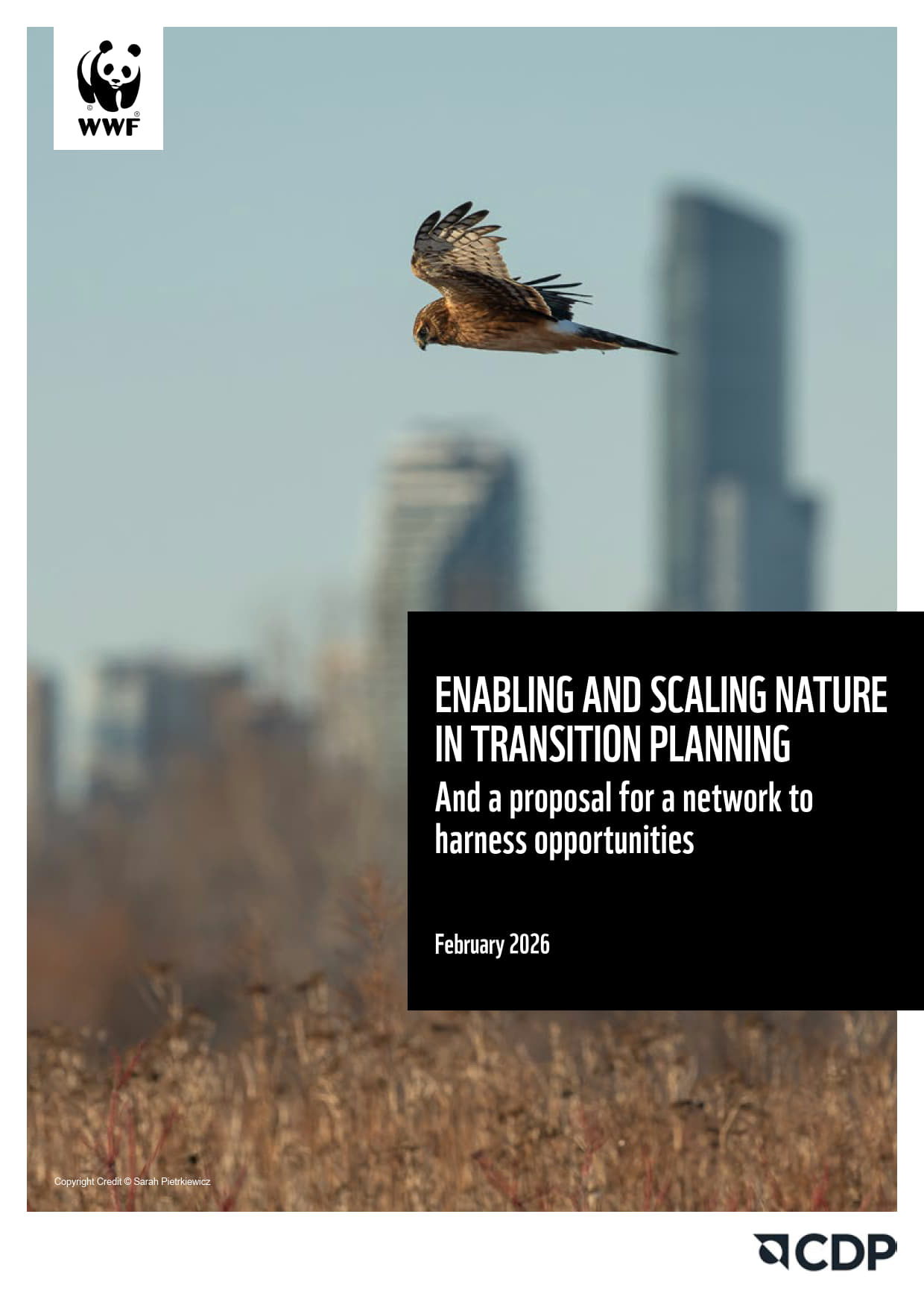 Nature in Transition plans | WWF
