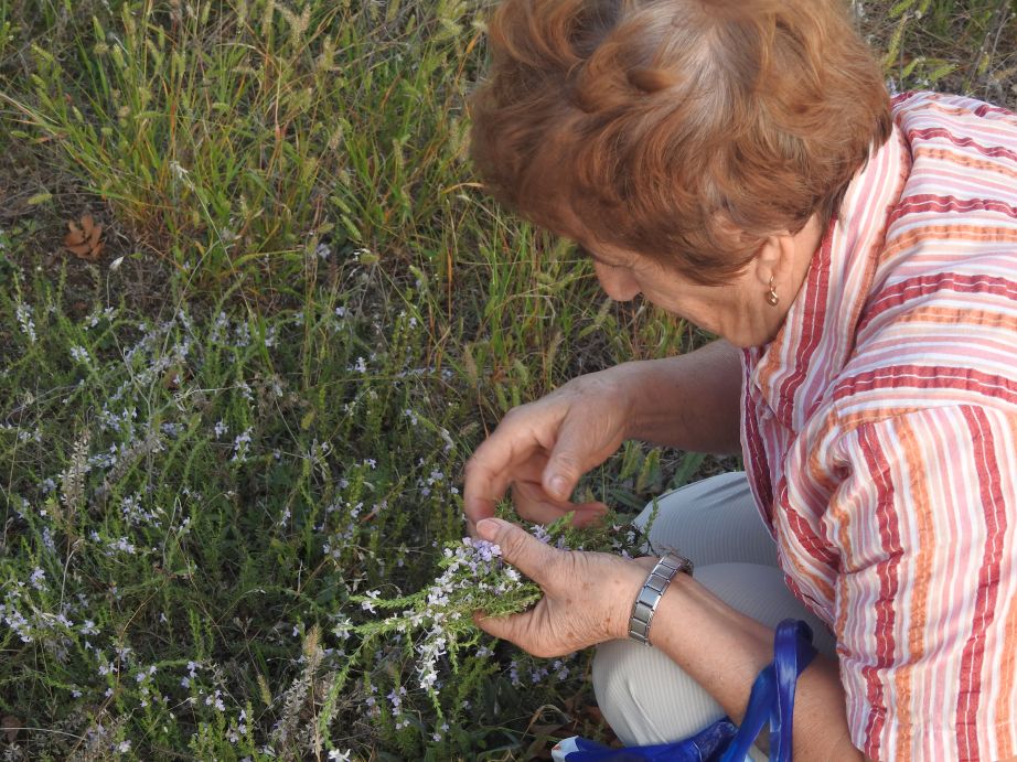 FairWild, GMO-Free Soy and Black Slavonian Pigs | WWF