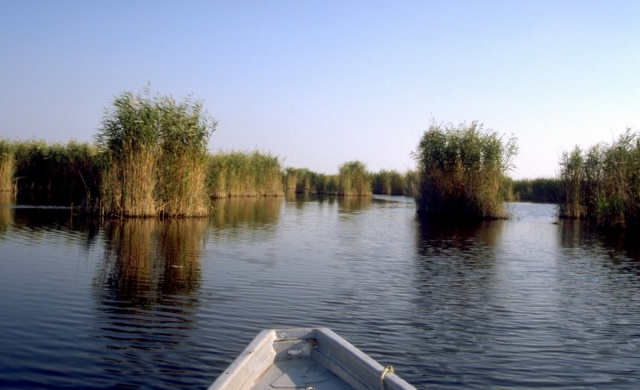 WWF works to bring over 12 million m³ water back to nature in the ...