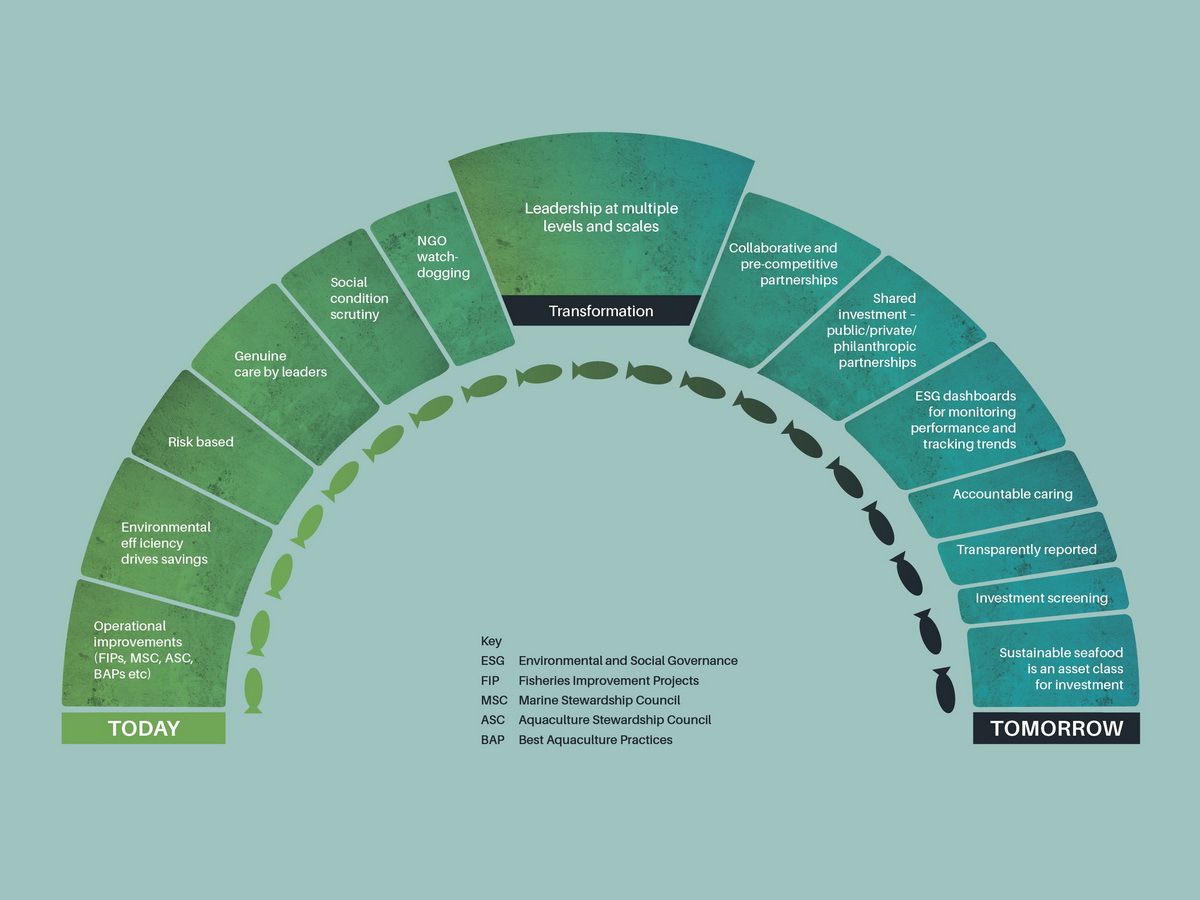 The cost of sustainable fisheries | WWF