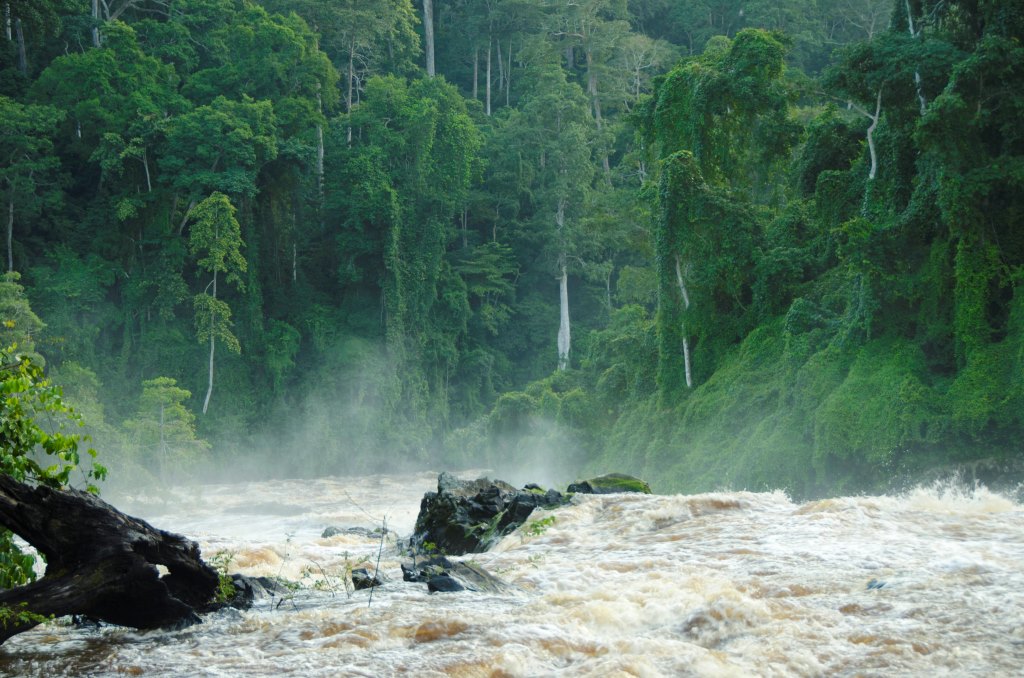 The TRIDOM tales | WWF