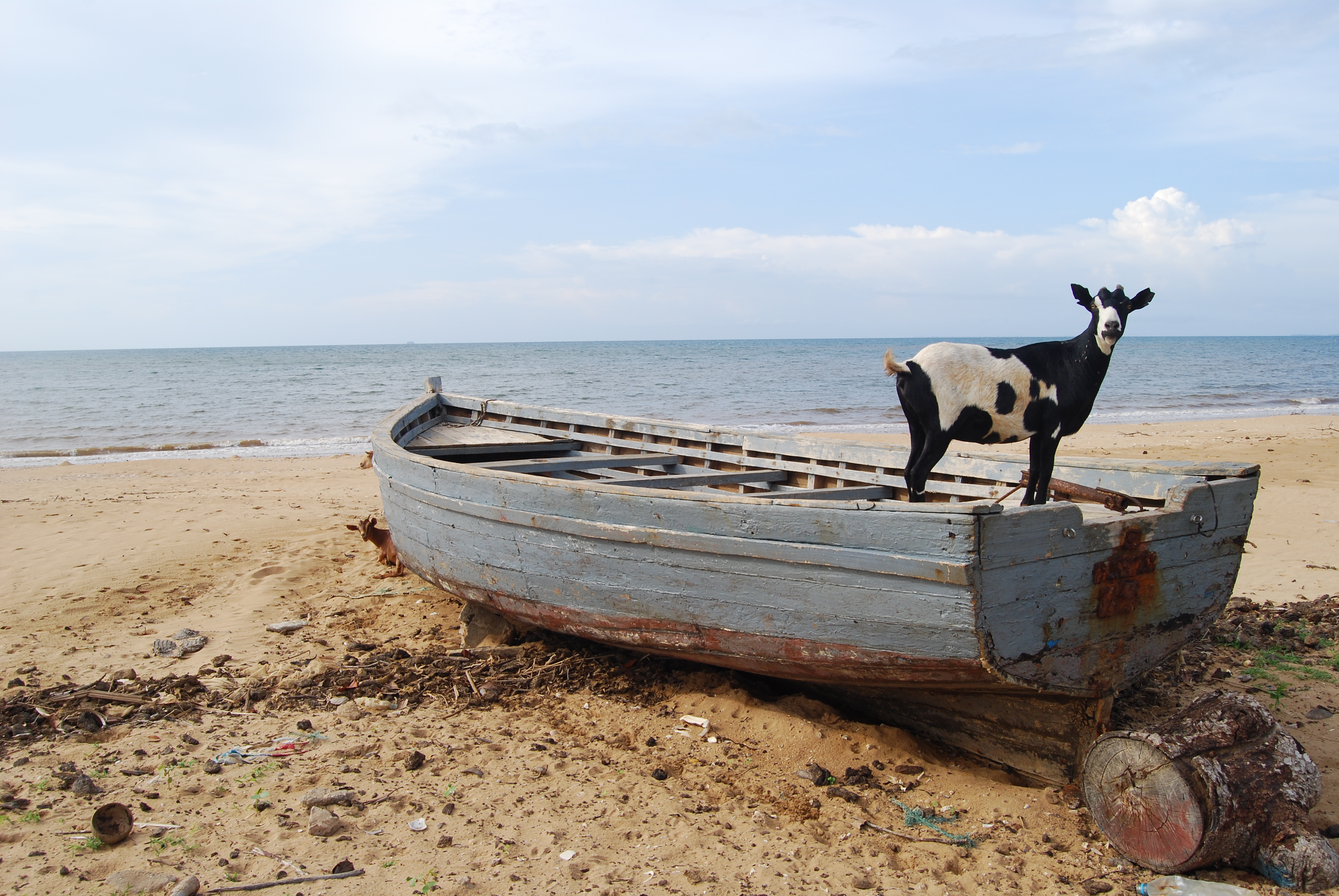 Climate Witness: Monique Tombo, Madagascar | WWF