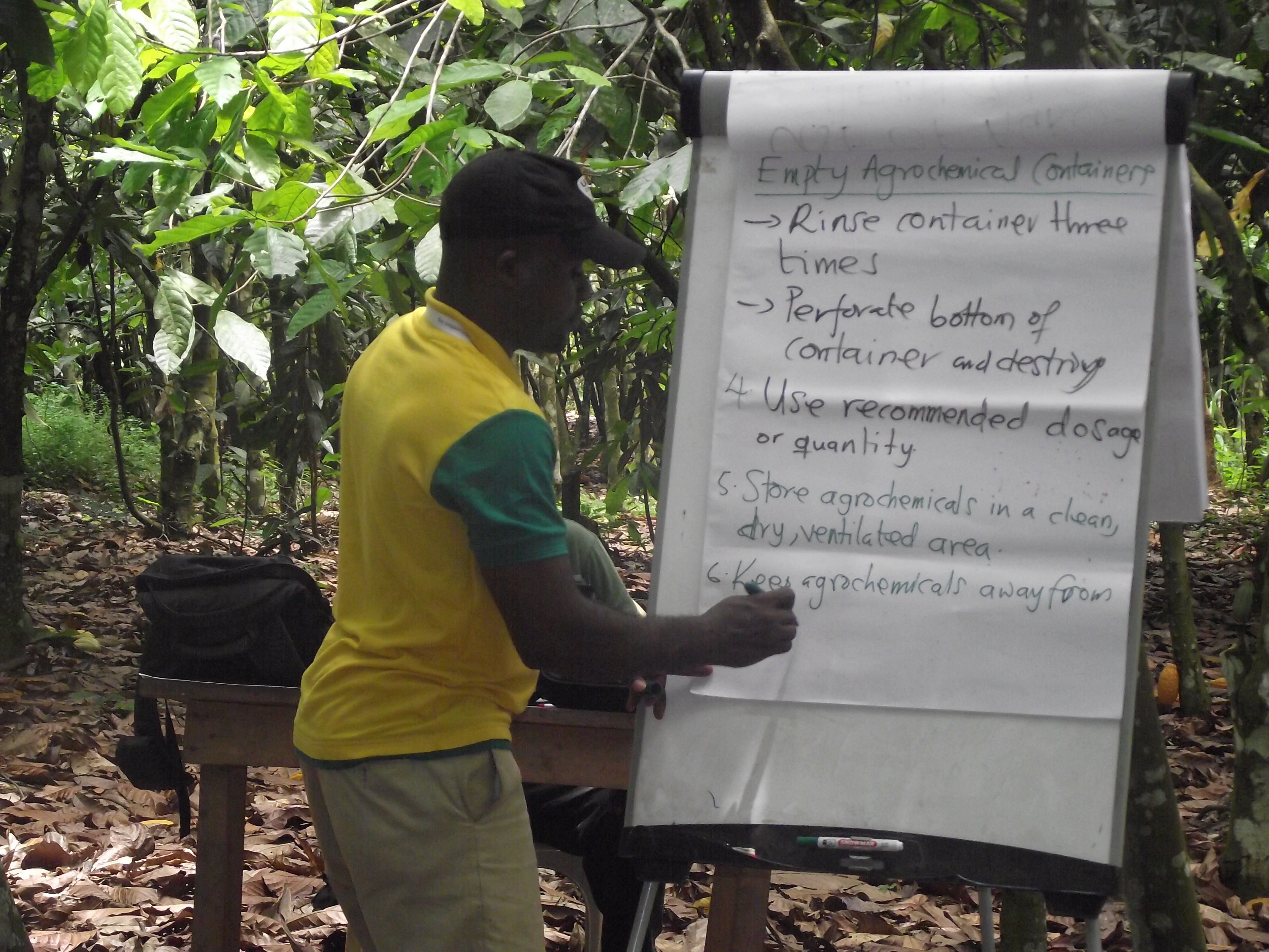 Is Cocoa Cultivation compatible with Sustainable Forest Management | WWF