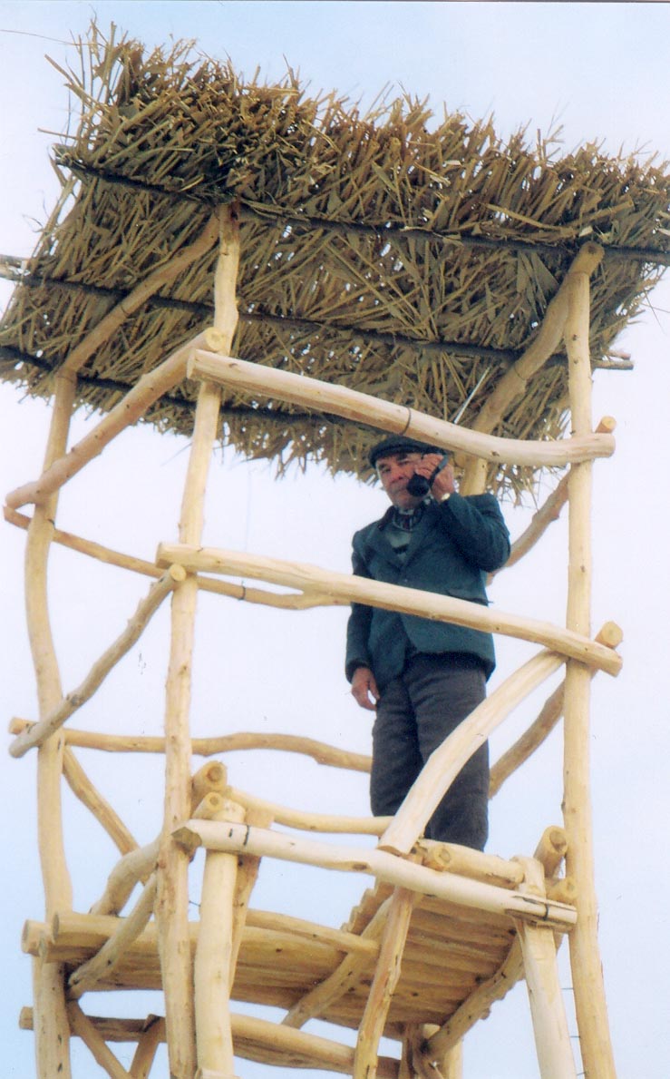 A wildfire burns only one tree | WWF