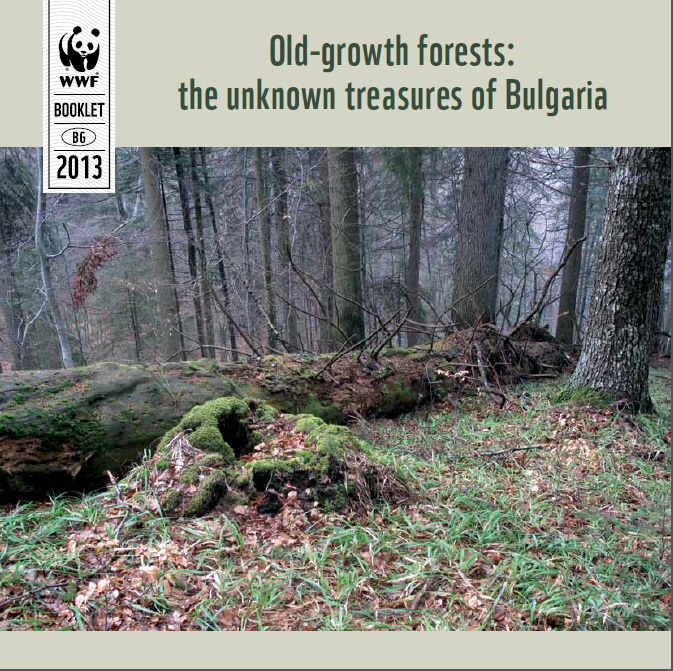 Old-growth forests: the unknown treasures of Bulgaria | WWF