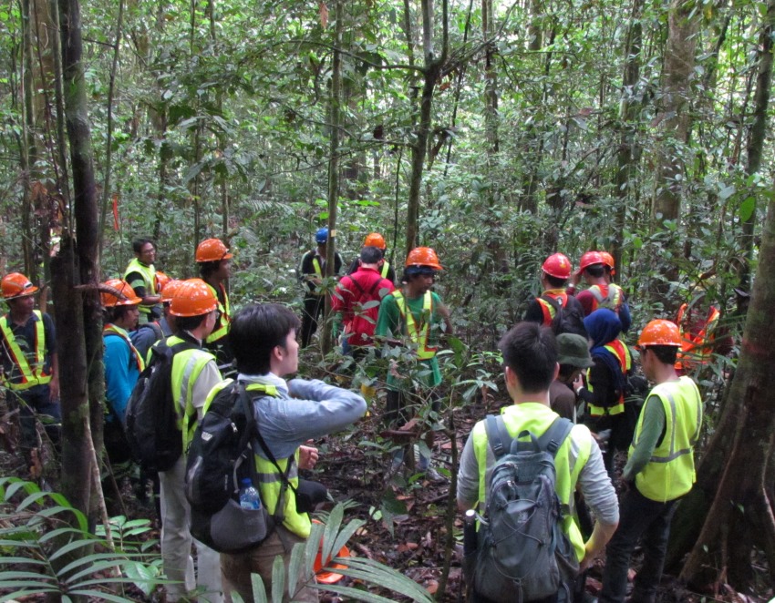 Biodiversity safeguard workshop offers learning opportunity for forest ...