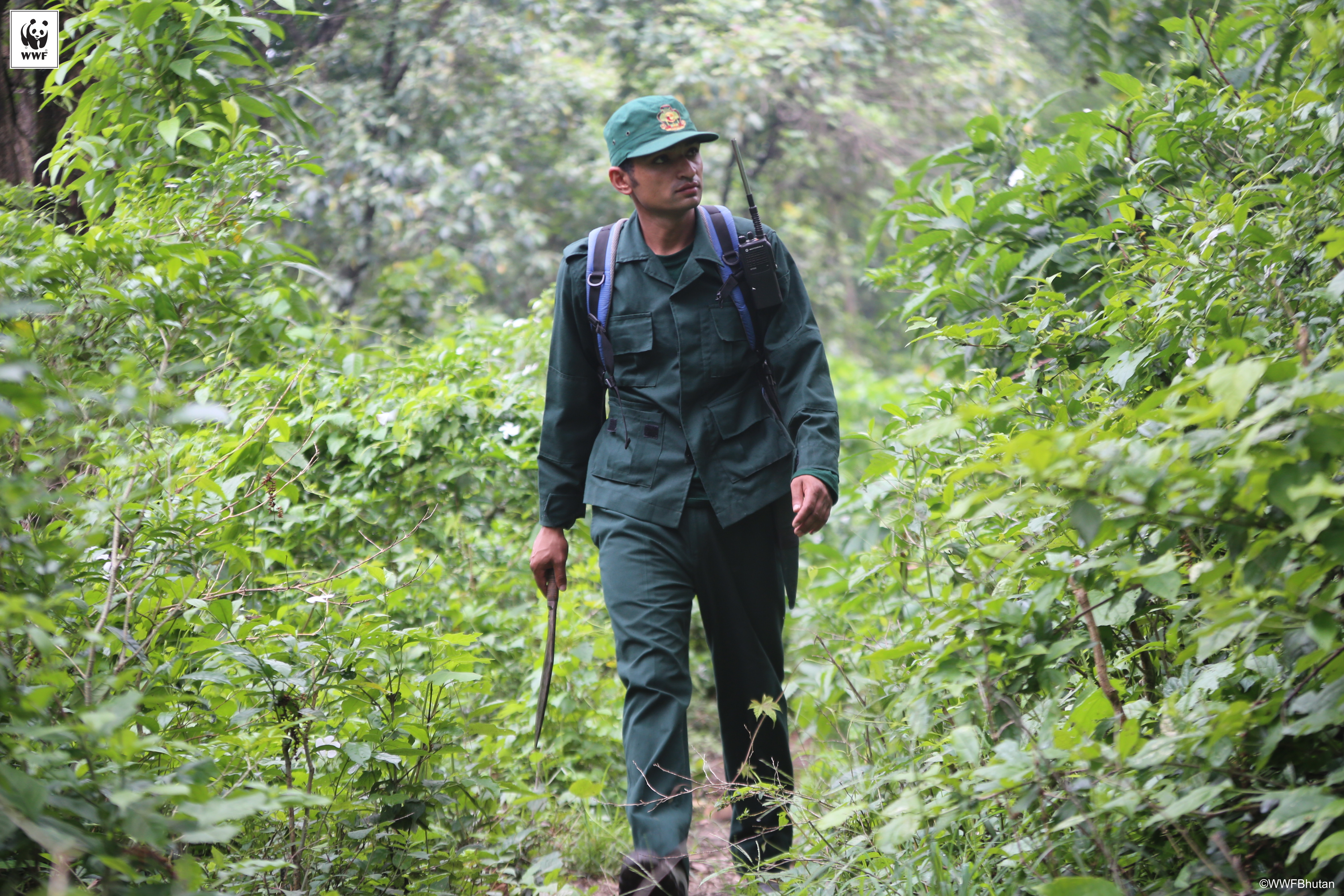 Bhutan takes SMART approach to stopping poaching | WWF