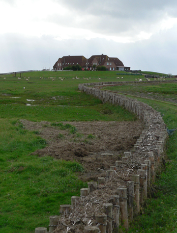 Climate Witness: Ruth Hartwig-Kruse, Germany | WWF