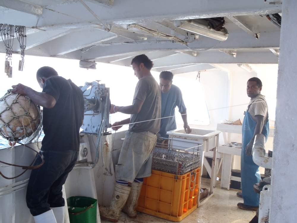 Sustainable Seafood Series - Slice from the Solander | WWF