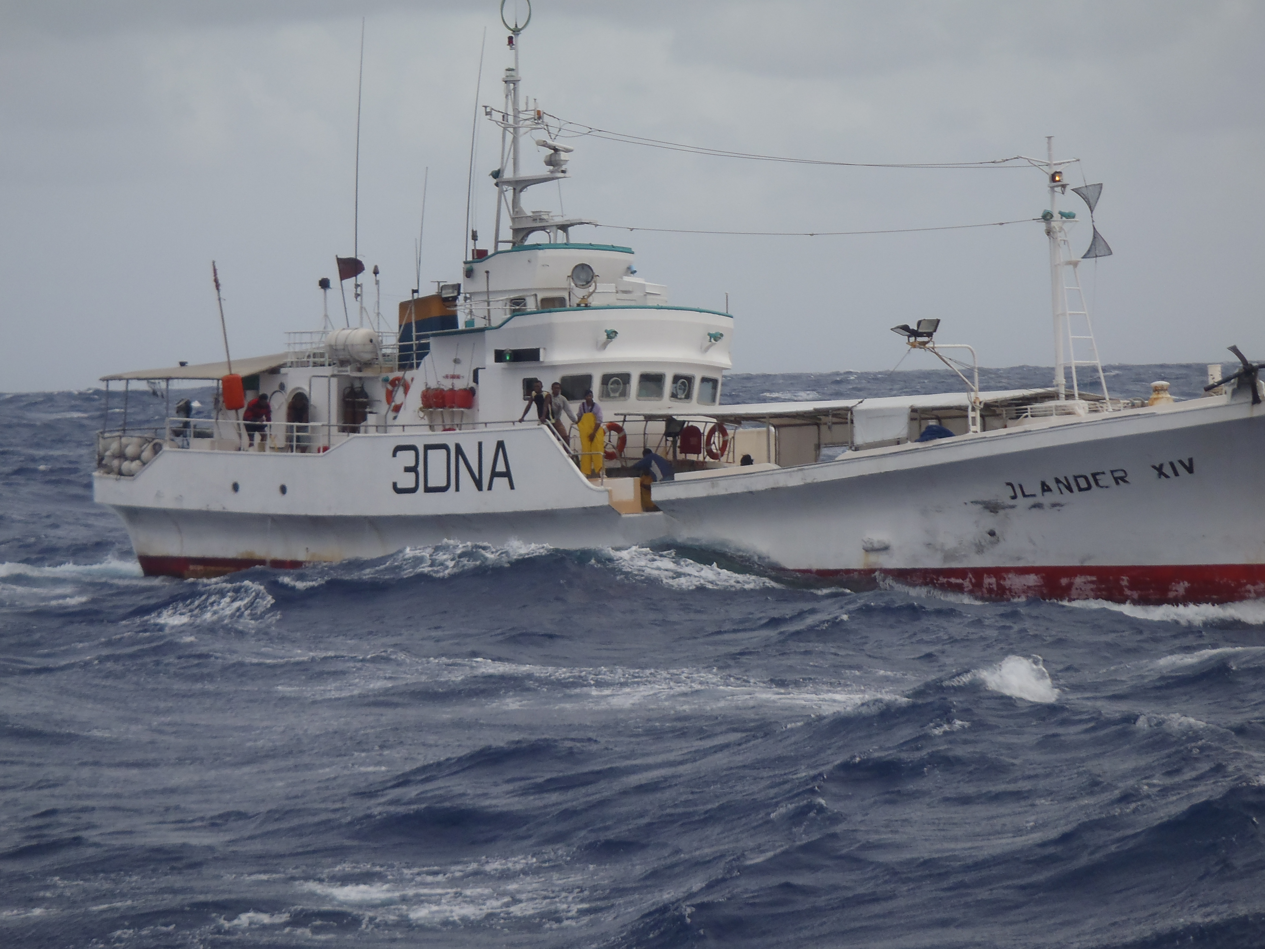 Slice from the Solander: Transfer at Sea | WWF