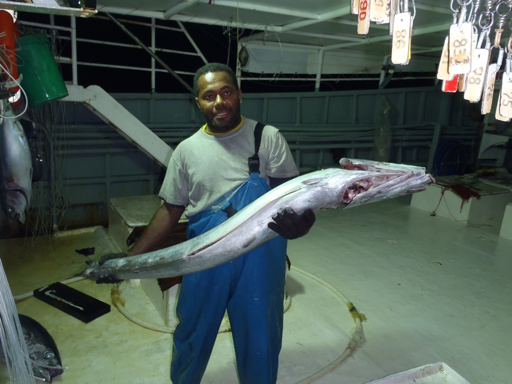 Sustainable Seafood Series - Slice from the Solander | WWF